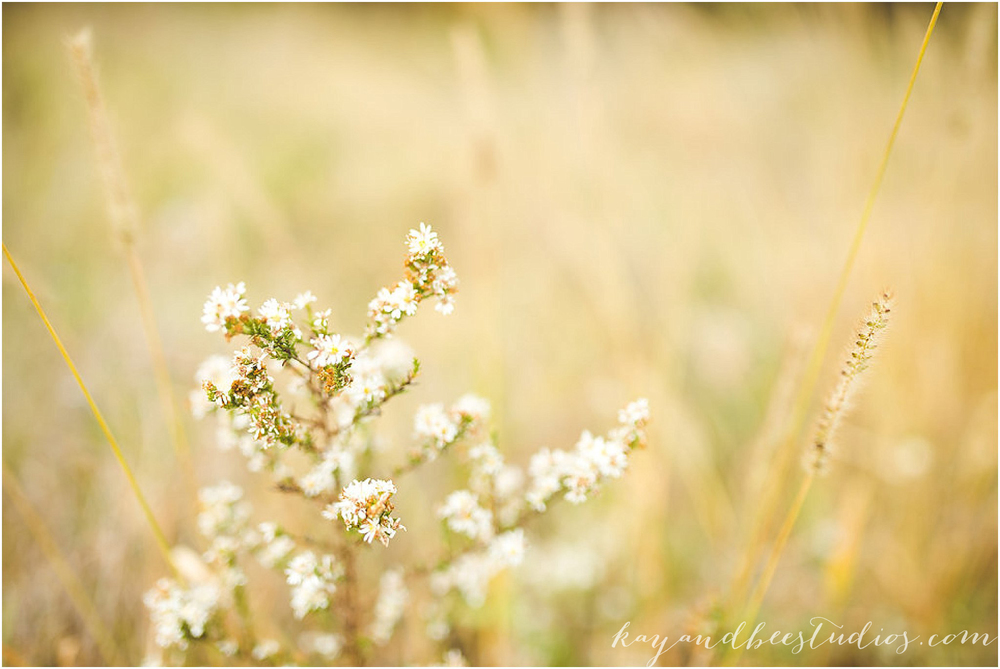 Jessie + Patrick // Rustic & Gold Barn Wedding // Halstead Wedding Photographers • Ashley x ...
